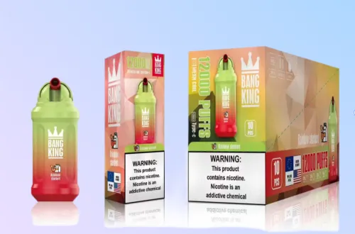 Rechargeable Bang King 12000 Puffs Disposable Vape Sweden, High Quality ...