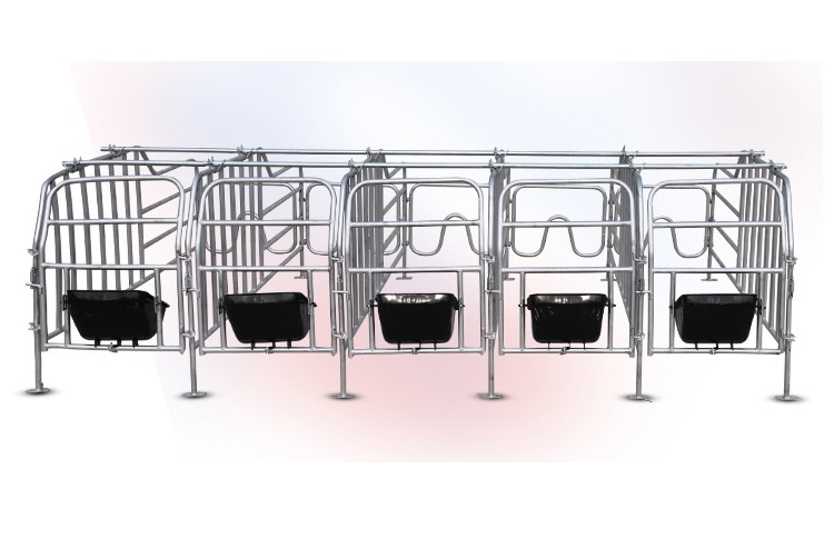 Pig Restraint Equipment For Sows: Farrowing And Gestation Stalls For ...