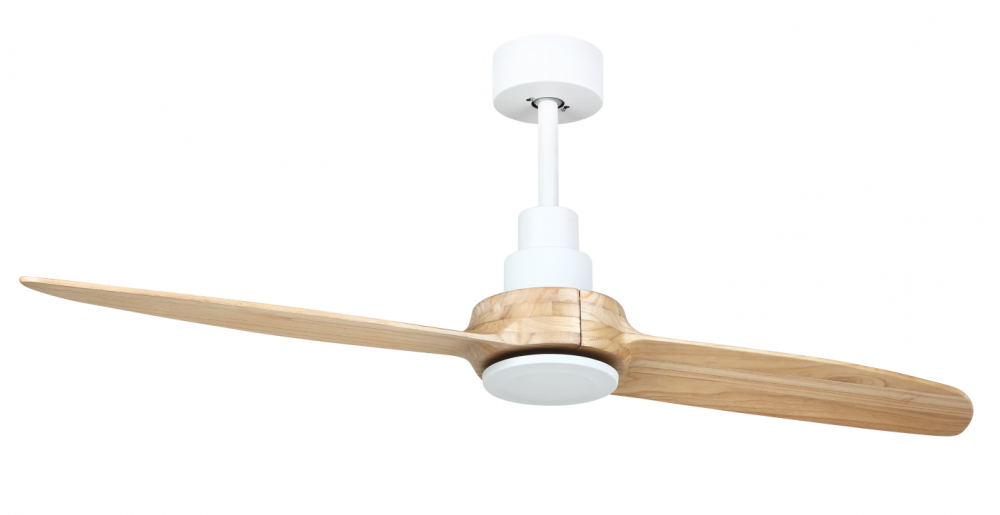 Modern Ceiling Fan With 2 Wooden Blades, High Quality Modern Ceiling ...