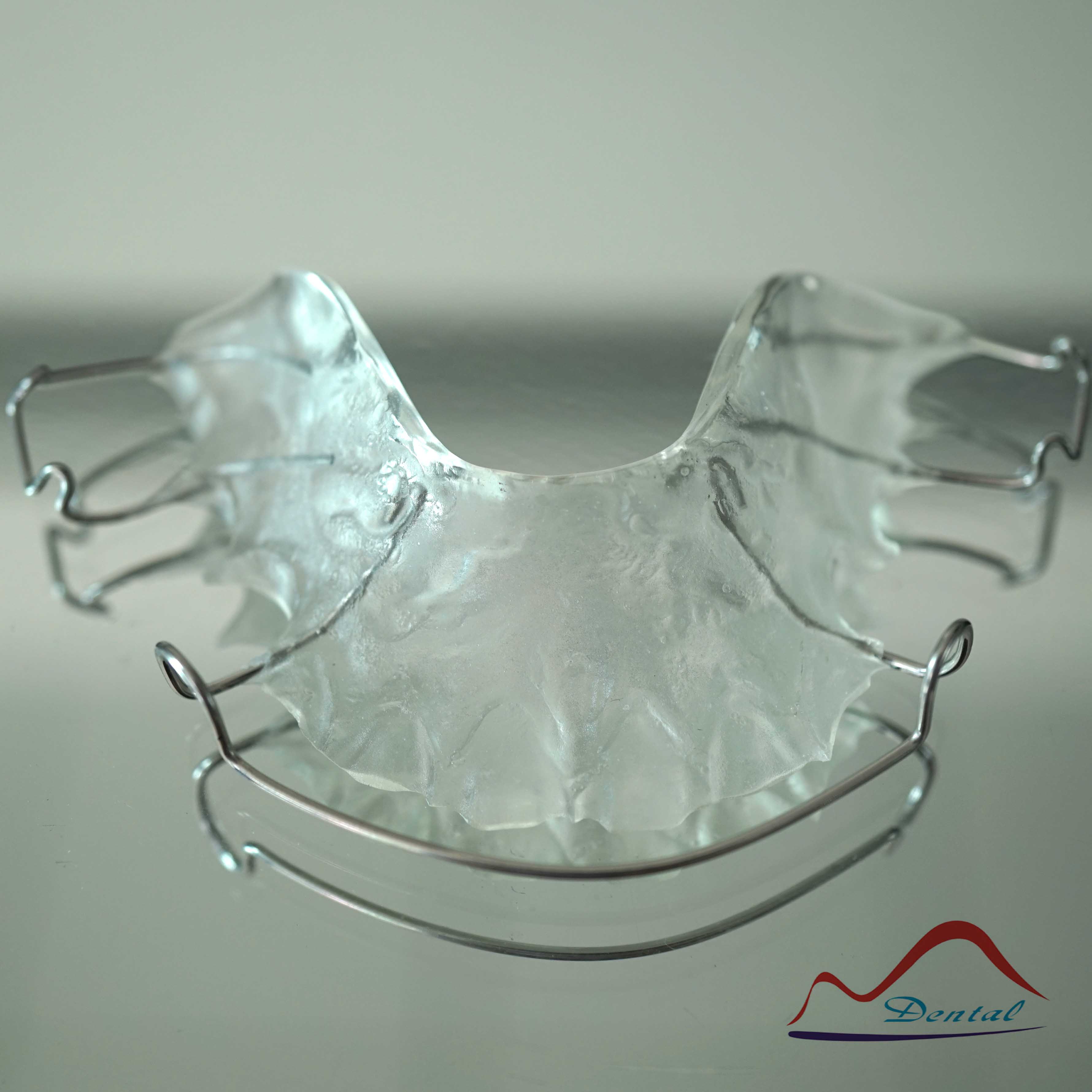 유명한 사용자 정의 된 홀리 리테이너, Bossgoo.com의 고품질 유명한 사용자 정의 된 홀리 리테이너