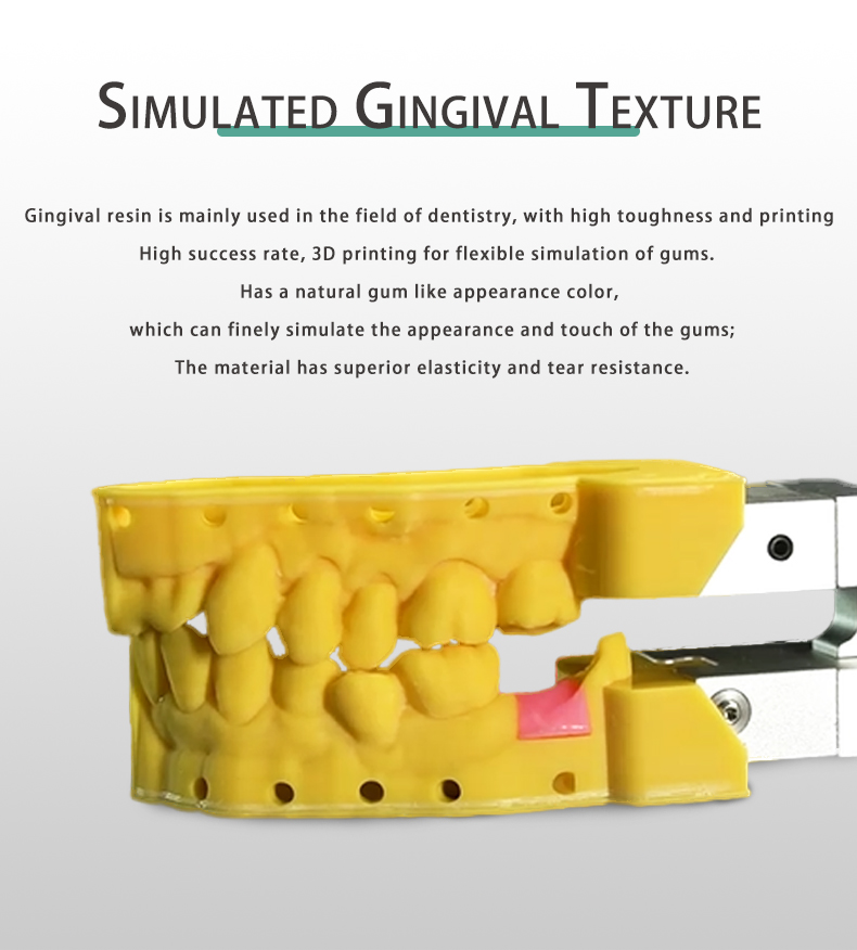 Antinsky Gingiva Resin: 405nm Uv Cured Resin For 3d Printing With High ...