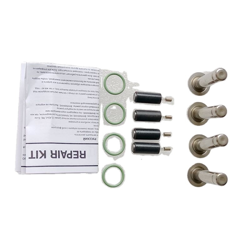 Omvl Type Lpg/cng Rail Injector Repair Kit For Autogas, High Quality ...
