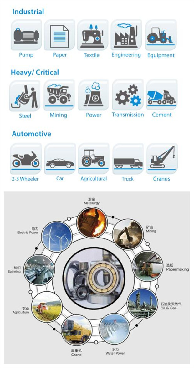 F210804 Cylindrical Roller Bearing 02a311648c 18x24x22mm For Gearbox ...