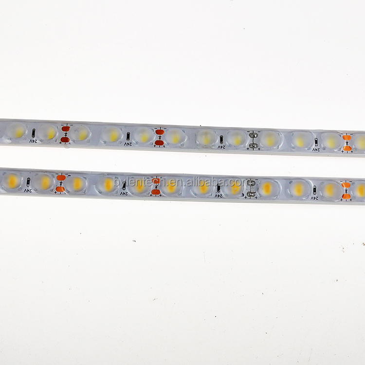 Rts 2835 60led Strip Light 18w Ip65 Outdoor Wall Washer Backlight, High ...