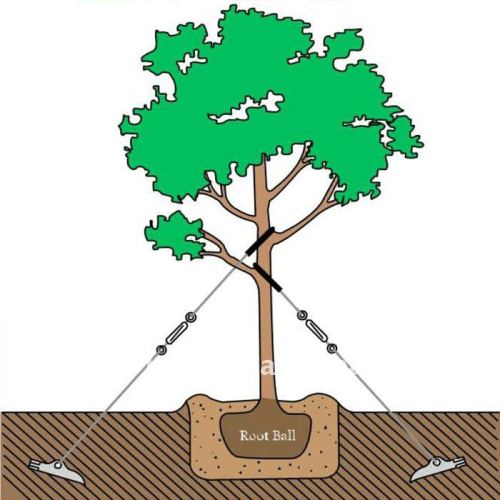 Tree Anchor Kit, High Quality Tree Anchor Kit on Bossgoo.com