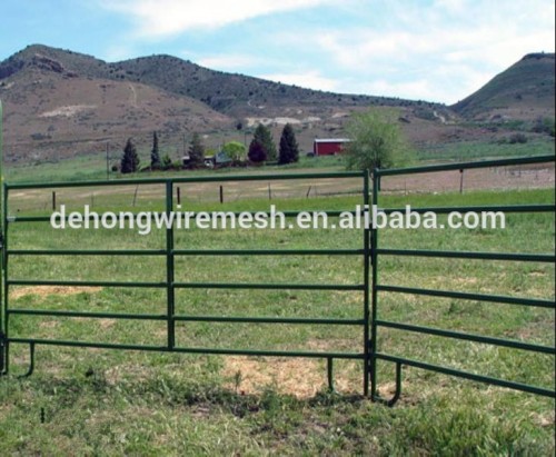 Galvanized Steel Pipe Portable Horse Corral/steel Corral Panel, High ...