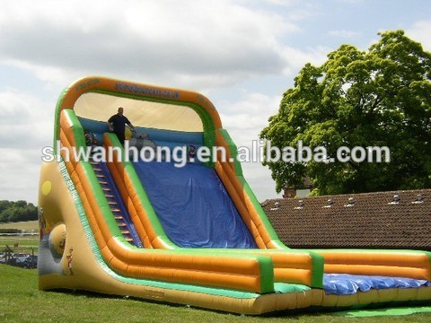 Huge Inflatable Water Slide , Big Inflatable Slide, High Quality Huge ...