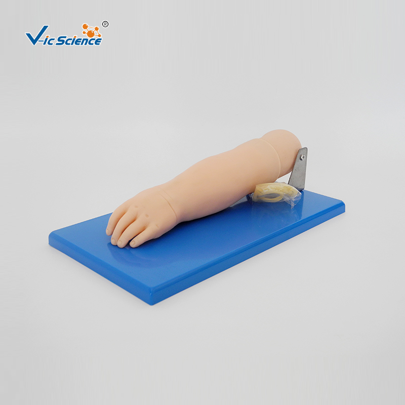 Advanced Pediatric Venipuncture Arm Model, High Quality Advanced ...