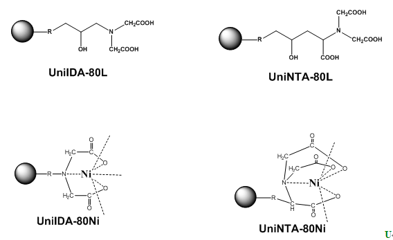 中国金属キレートアフィニティークロマトグラフィーメディアUniNTA-80NIメーカー