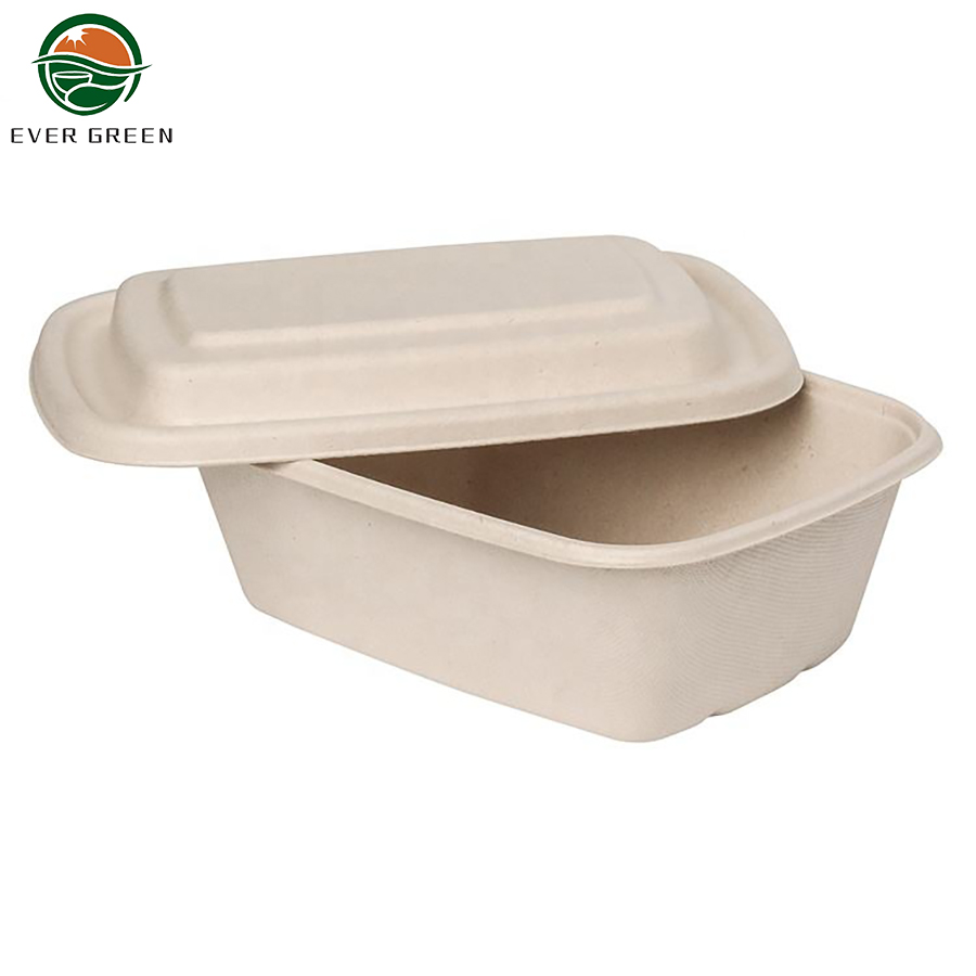 Disposable Biodegradable Takeaway Compostable Food Packaging, High ...