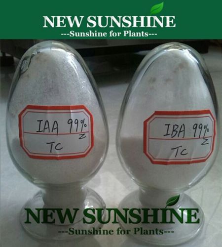 고품질 Iba 99 % Seradix 식물 성장 호르몬, Bossgoo.com의 고품질 고품질 Iba 99 % Seradix ...