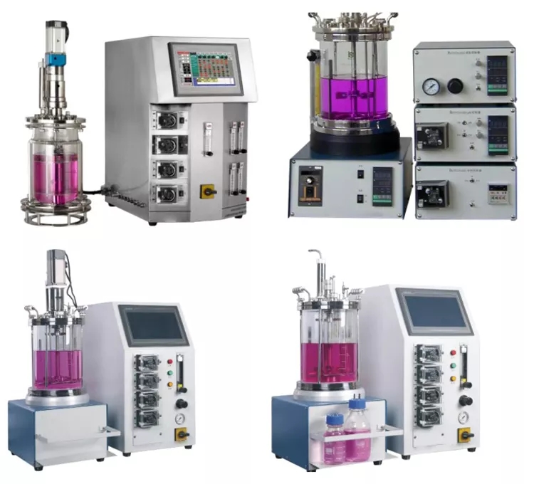 Plant Cell And Microbial Culture Bioreactors: Glass Bioreactor ...