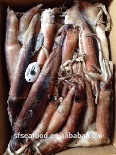 Fish Maw Indonesia Of Japanese Squid, High Quality Fish Maw Indonesia ...