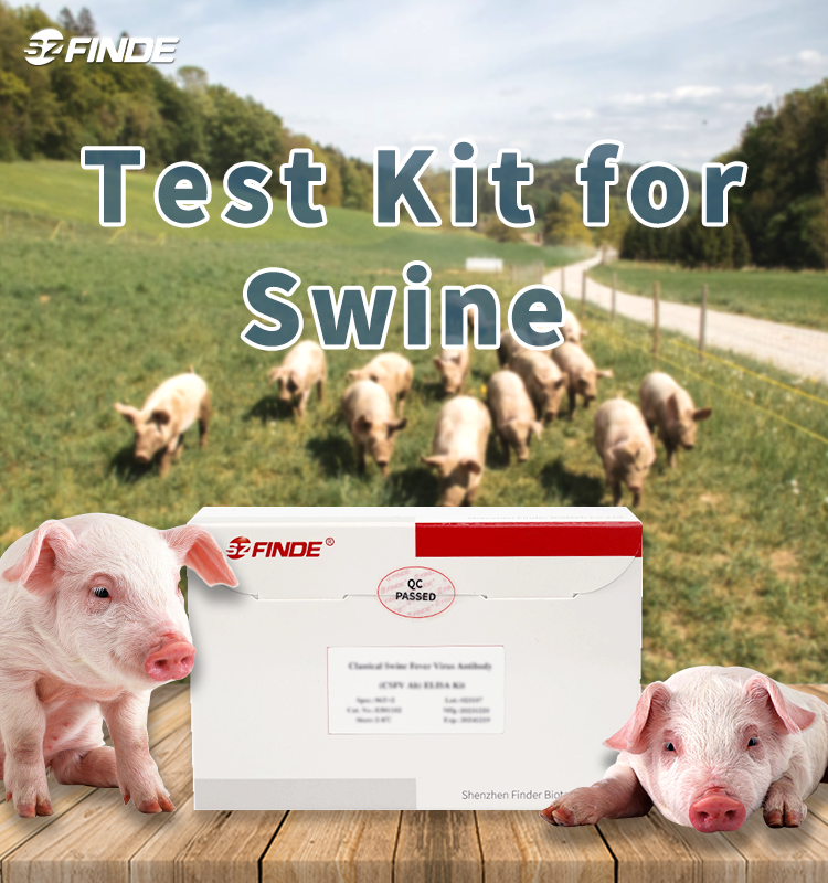 Accurate Pdcov Detection: The Comprehensive Rt-pcr Veterinary ...