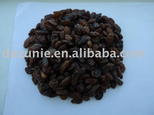 Tompson Seedless Raisin, High Quality Tompson Seedless Raisin on ...