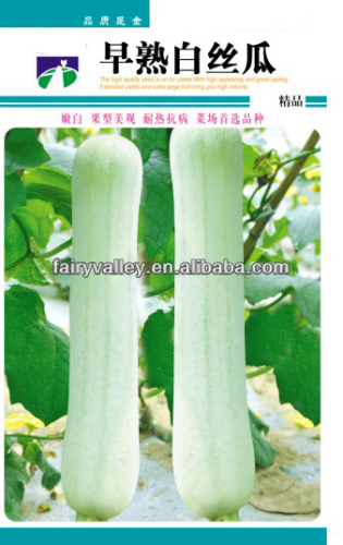 Super High Quality White Luffa Seeds Loofah Seeds For Growing, High ...