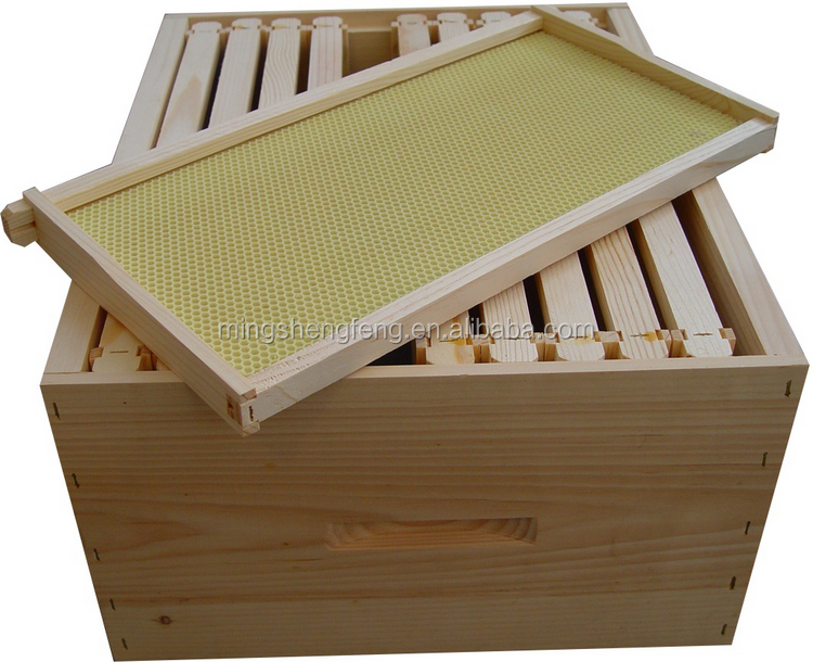 Pine Fir Wood Langstroth Size Bee Hive Boxes, High Quality Pine Fir ...