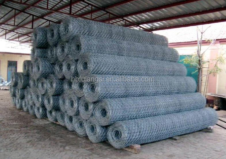 Galvanized Chicken Wire Mesh & Plastering Wire Mesh, High Quality ...