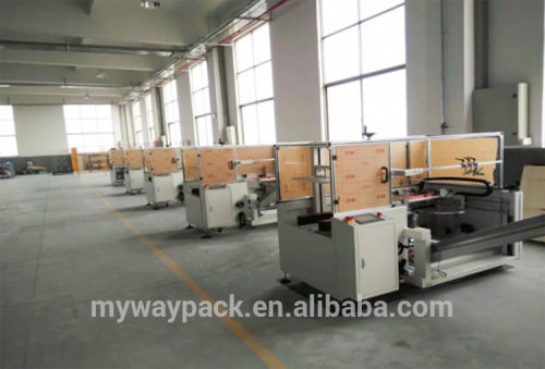 Automatic Case Packer Carton Box Packing Machine, High Quality Automatic Case Packer Carton Box ...