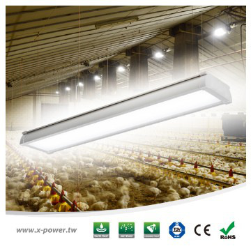 Surface Mounted 15w 600mm Led Led 3p Lamp Shenzhen Manufacture, High ...