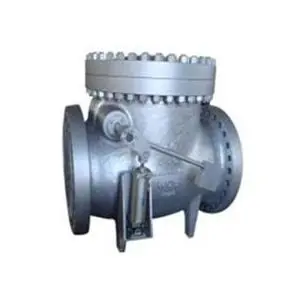 Swing Check Valve With Level And Counter, High Quality Swing Check ...