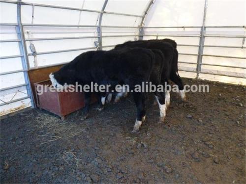 Cheap Easy Up Practical Goat Cattle Cow Shed, High Quality Cheap Easy ...