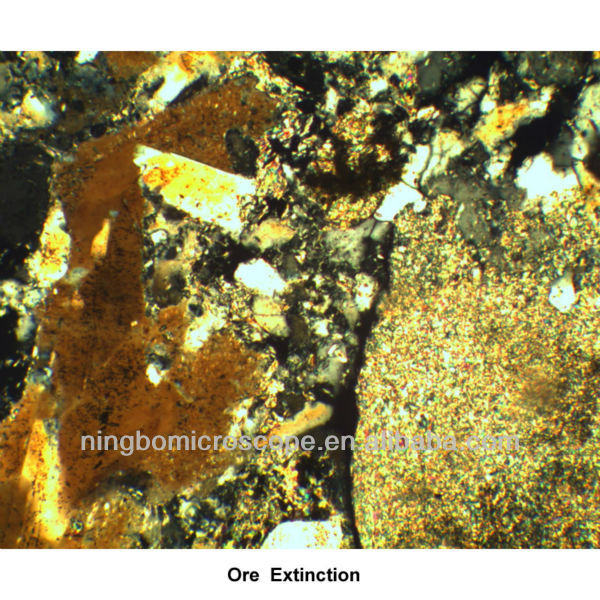 50x-600x Polarizing Geology Microscope: Incident And Transmitted ...