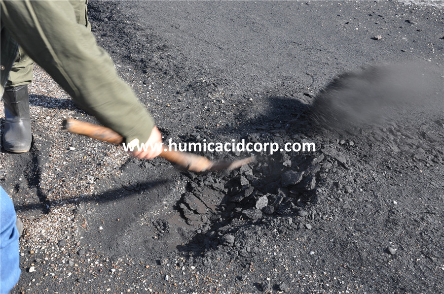 ผงกรดฮิวมิค 70% Cxkj จากซินเจียง Leonardite คุณภาพสูง ผงกรดฮิวมิค 70% ...