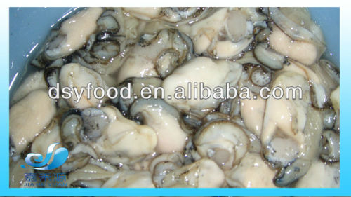 Frozen Oyster Meat Half Shell, High Quality Frozen Oyster Meat Half ...