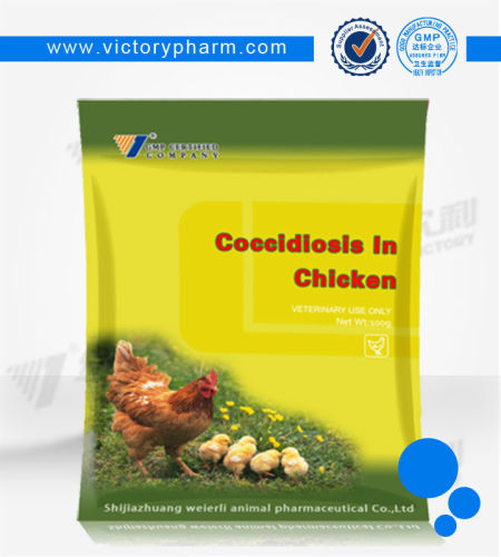 Veterinary Medicine Coccidiosis In Chicken, High Quality Veterinary ...