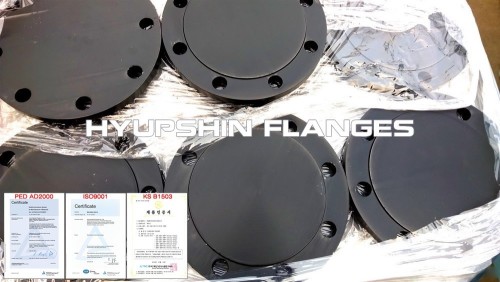 Jis B2220 10k Sop Flange Blind Flange, High Quality Jis B2220 10k Sop ...