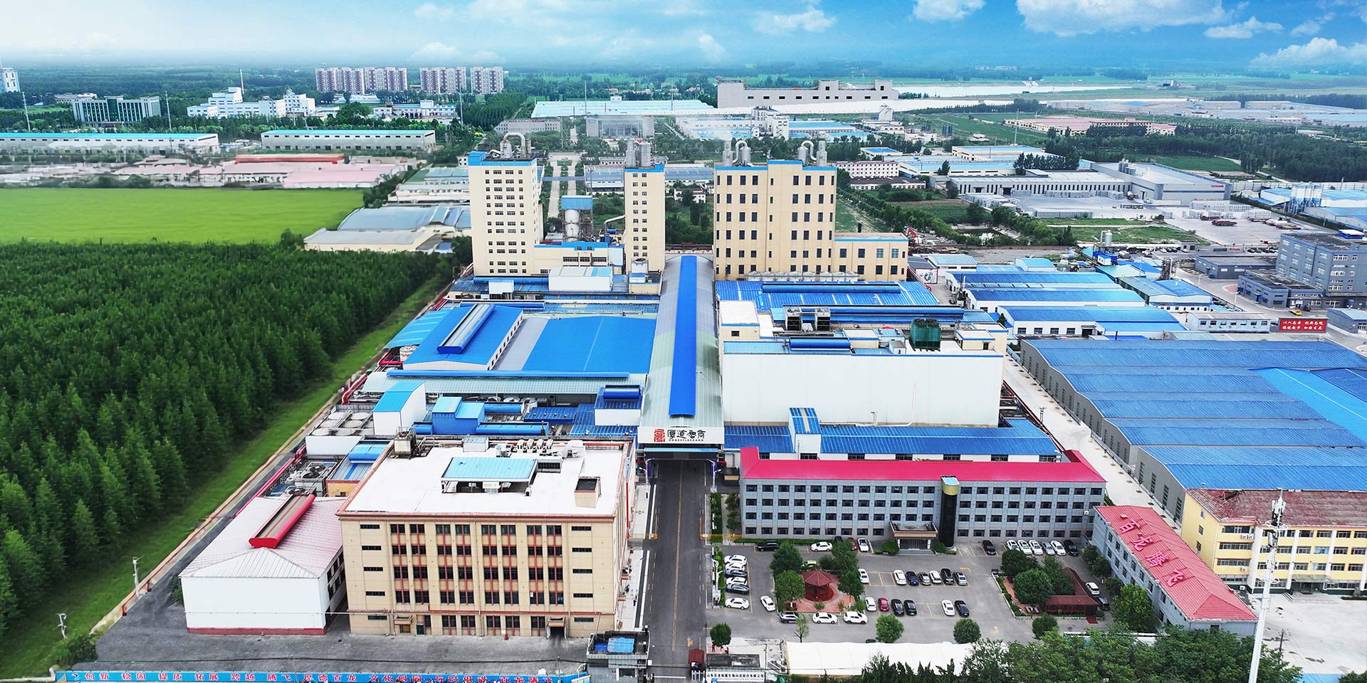 Polydextrose (NON GMO / IP) Polydextrose Food Grade China Manufacturers ...
