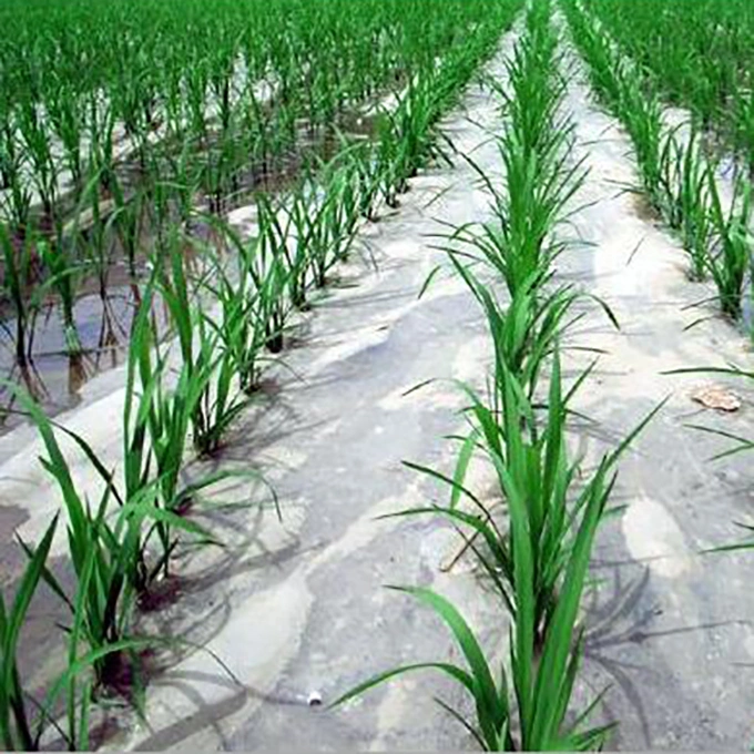 Professional Agricultural Plastic Mulch Film, High Quality Professional ...