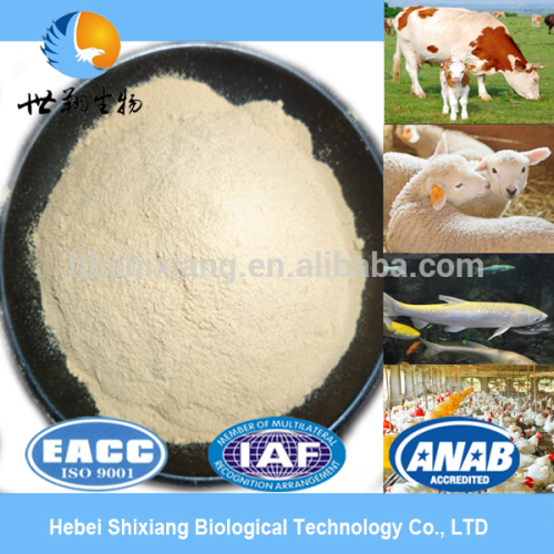 Active Bacillus Subtilis For Aquatic, High Quality Active Bacillus ...