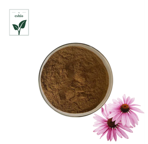 Echinacea Purpurea Extract Powder, High Quality Echinacea Purpurea ...