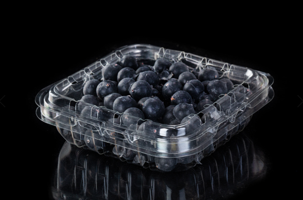 Transparent Blueberry Half Fold Packaging Box, High Quality Transparent ...