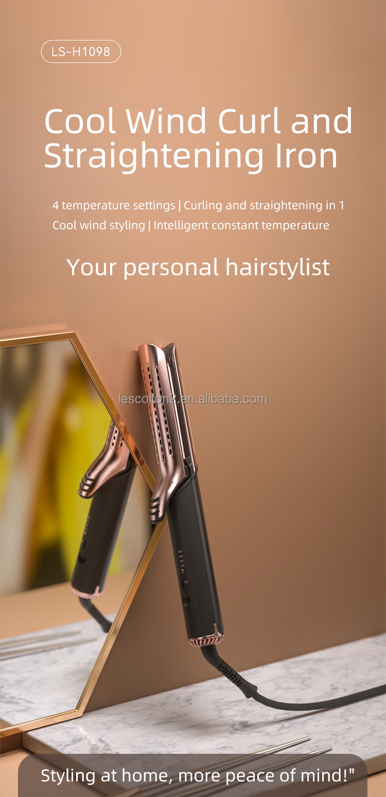 Portable 2-in-1 Air Flow Hair Straightener With Cooling Vents, High ...