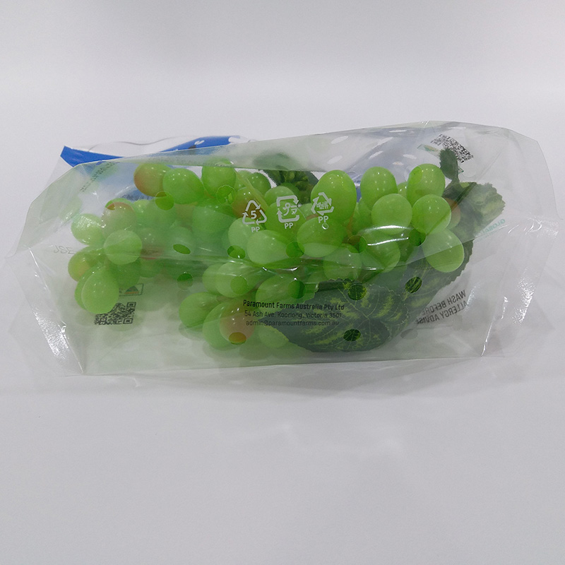 Grape Cherry Ziplock Bag Fresh Fruit Vegetable Packing Bag With Hole ...