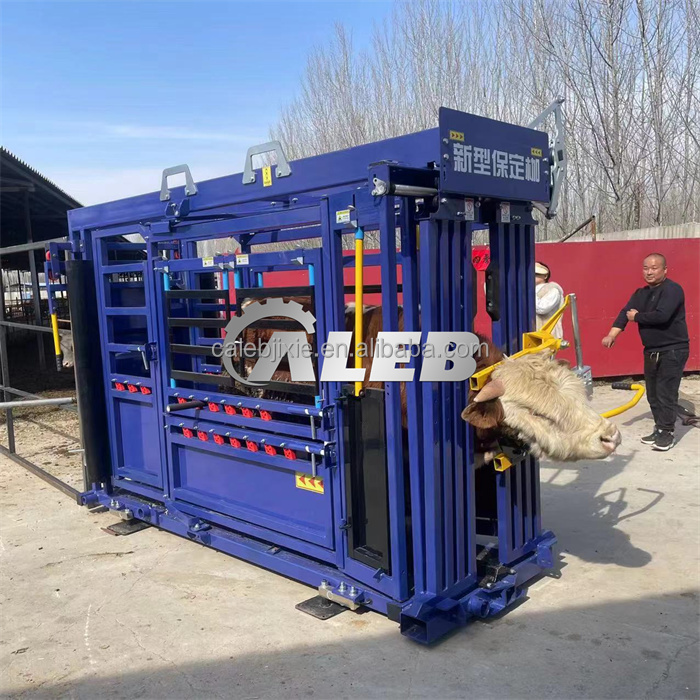 Affordable Cattle Handling Equipment: Vet Crush, Livestock Head Squeeze ...