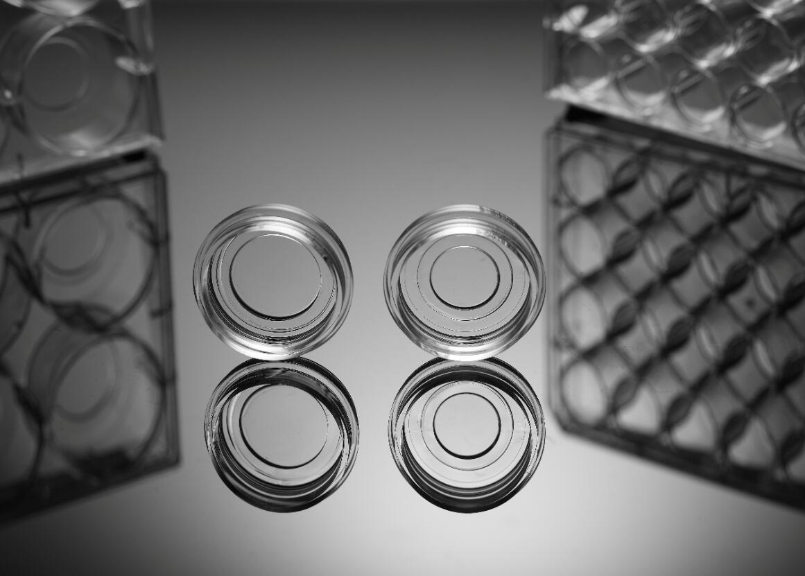 Offer Glass Bottom Culture Plates,Glass Bottom Culture Dishes,Cover ...