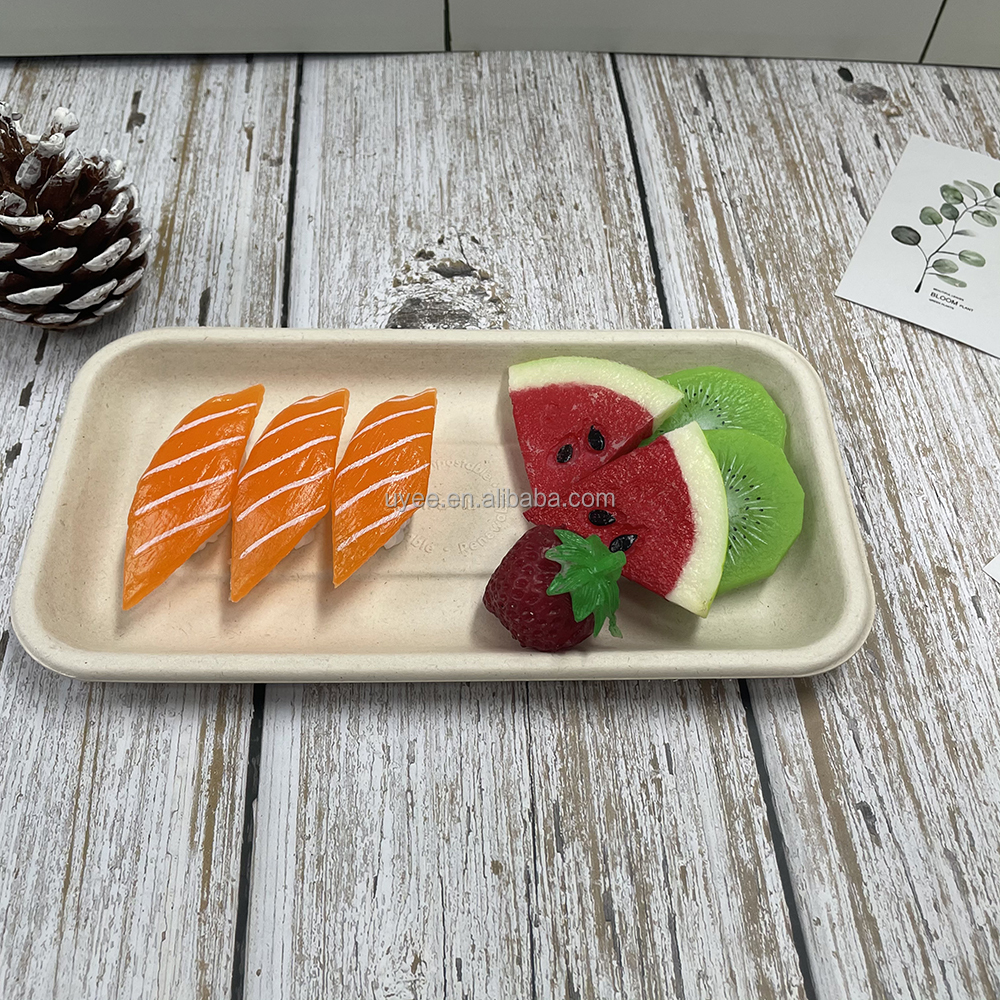 Disposable Sugarcane Bagasse Compostable Biodegradable Tray, High ...