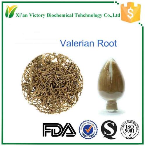Valeriana Officinalis Extract Valerian Extract 0.8%, High Quality ...