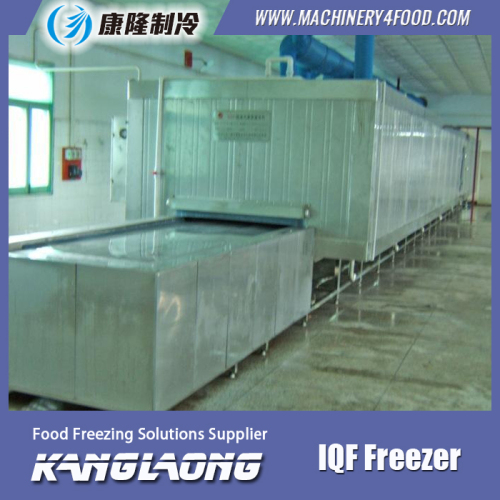 Large Output Impingment Iqf Freezer With Good Quality, High Quality ...