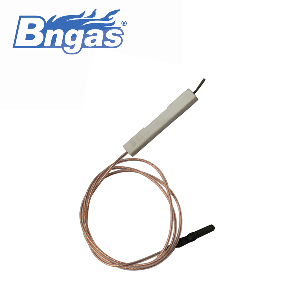 Elektroda Sensor Api Untuk Boiler Gas Yang Dipasang Di Dinding ...