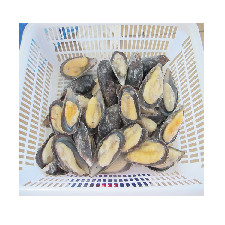 Frozen Shellfish In Season Frozen Mussels Meat Half Shell Detail Frozen ...