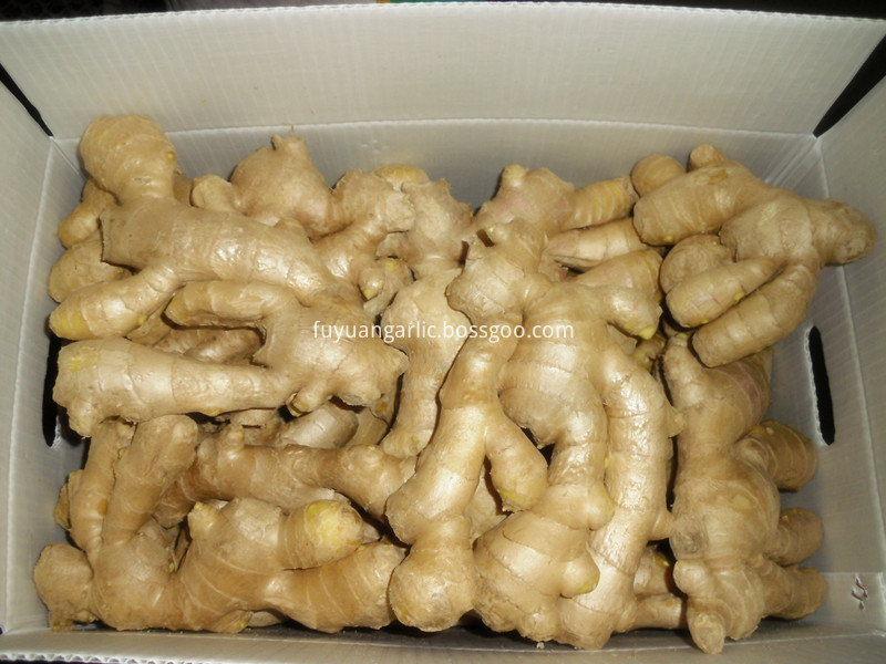 Fat Ginger Natural Air Dried Ginger, High Quality Fat Ginger Natural ...
