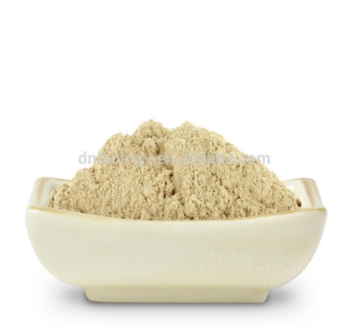 Echinacea Angustifolia Extract Pure Echinacea Angustifolia Powder, High ...