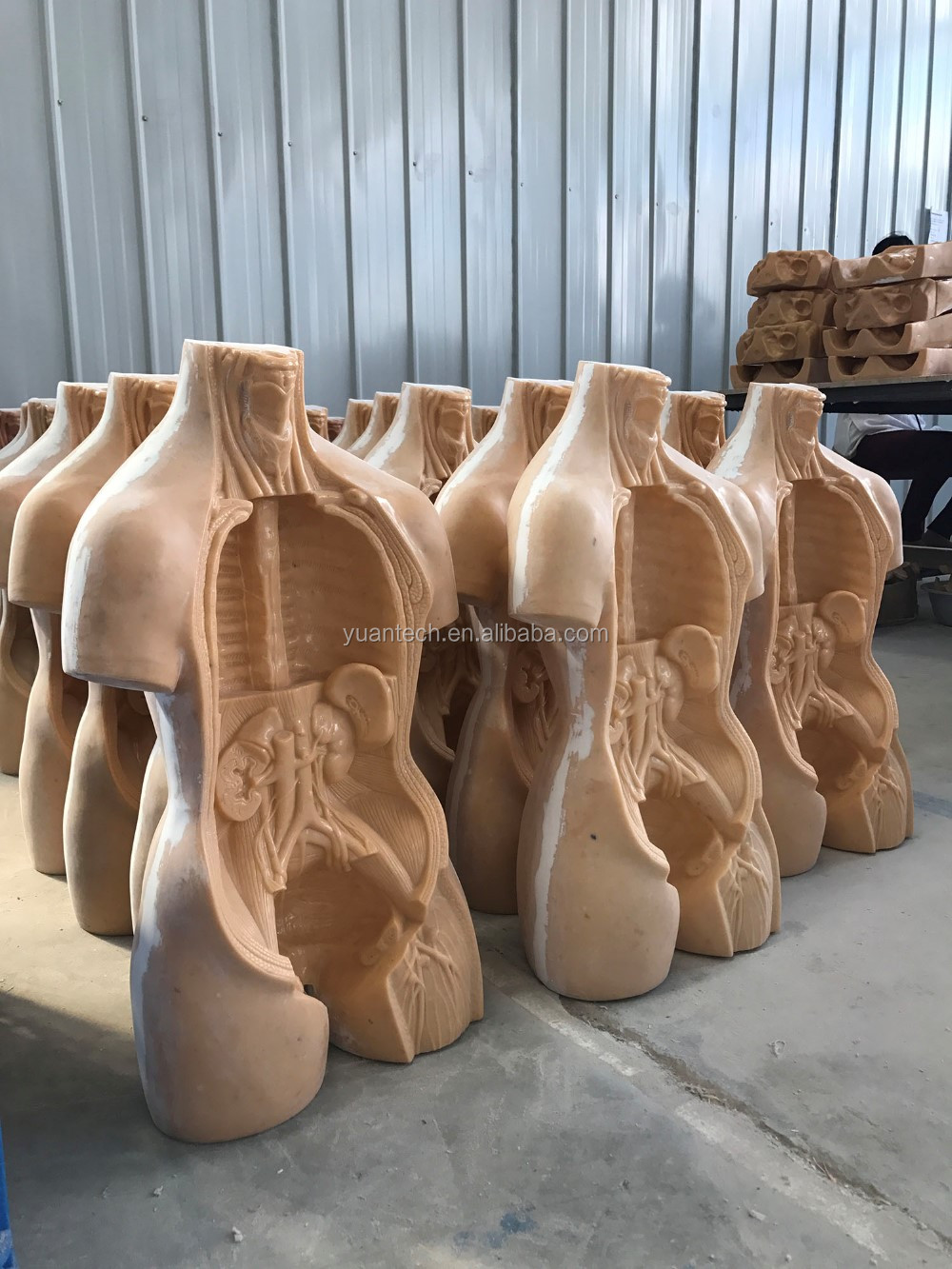 4-part Fake Human Skin Anatomic Model - Skin Model, High Quality 4-part ...
