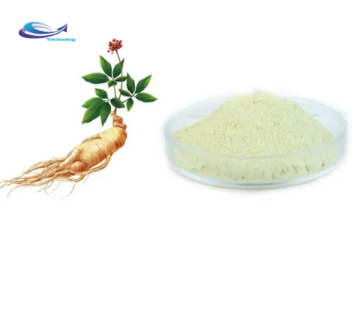 Best Pure Natural Ginsenosides Ginseng Powder Panax, High Quality Best ...