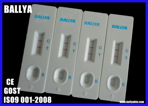 Bovine Tuberculosis Antibody Rapid Test Kit (btb Ab Rapid Test Kit ...